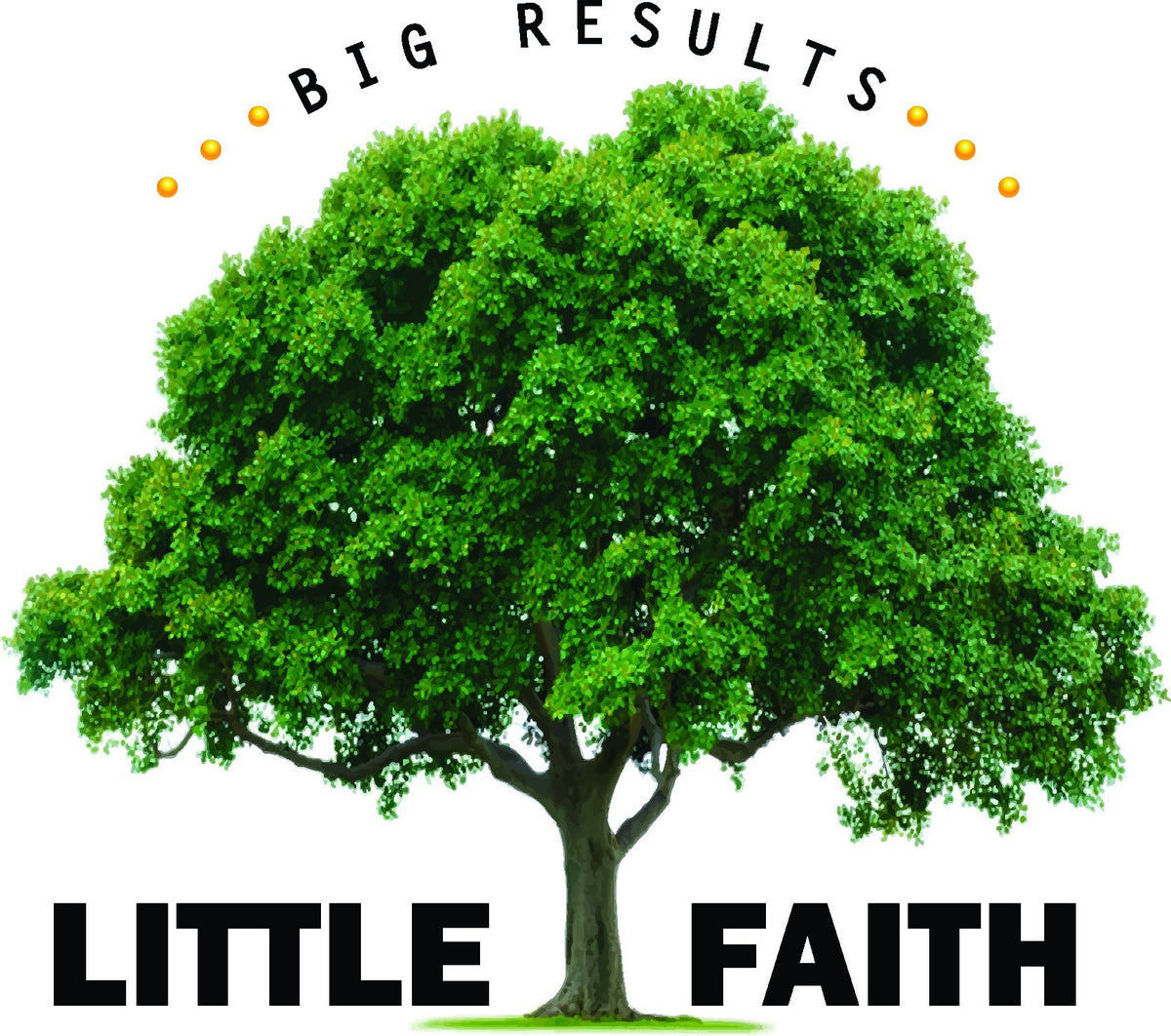 Little Faith Big Results